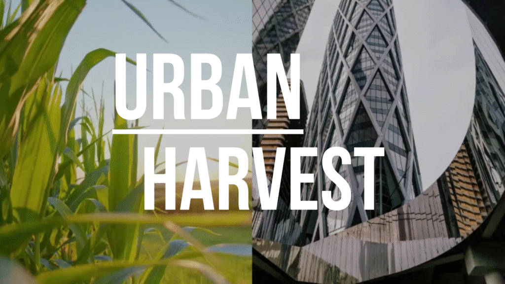 Urban Harvest - KDOM | KingDrive Outreach Ministries